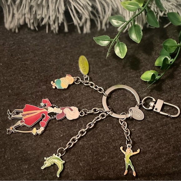 Disney | Accessories | Disney Peter Pan Key Chain | Poshmark